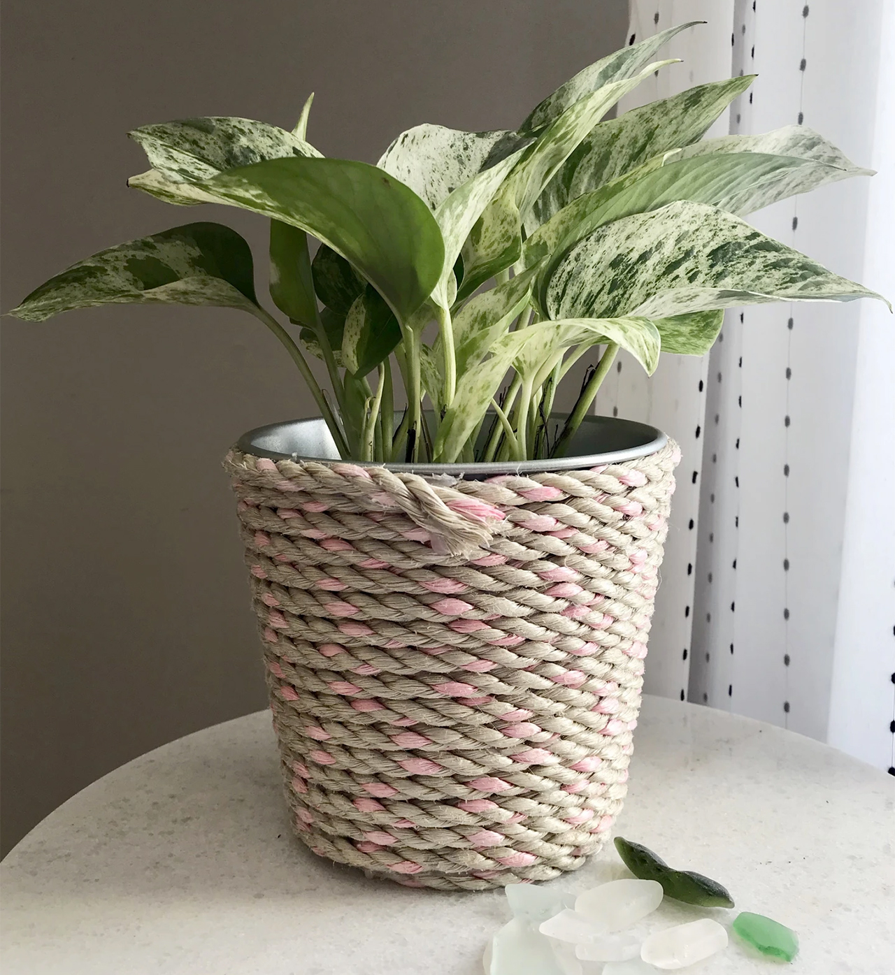 Cum sa ornezi florile de ghiveci ca sa-i dea un plus de stralucire ...