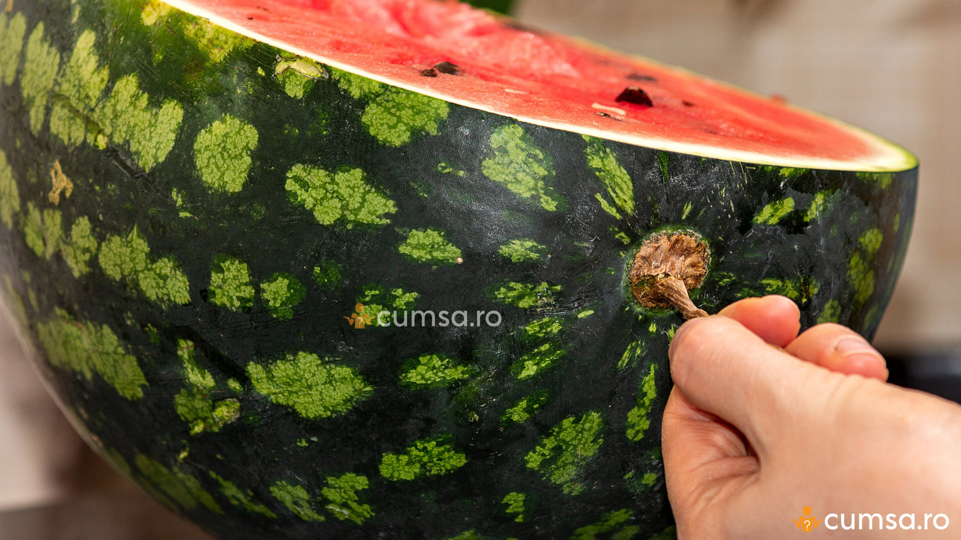 Cum sa iti dai seama daca un pepene este bun fara sa-i faci dop - cumsa.ro