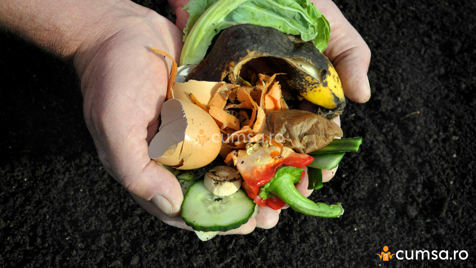 Cum sa faci compost daca stai la curte sau la bloc - cumsa.ro