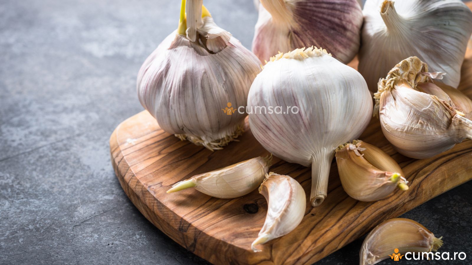 Cum sa scapi de soareci si sobolani. 10 modalitati eficiente - cumsa.ro