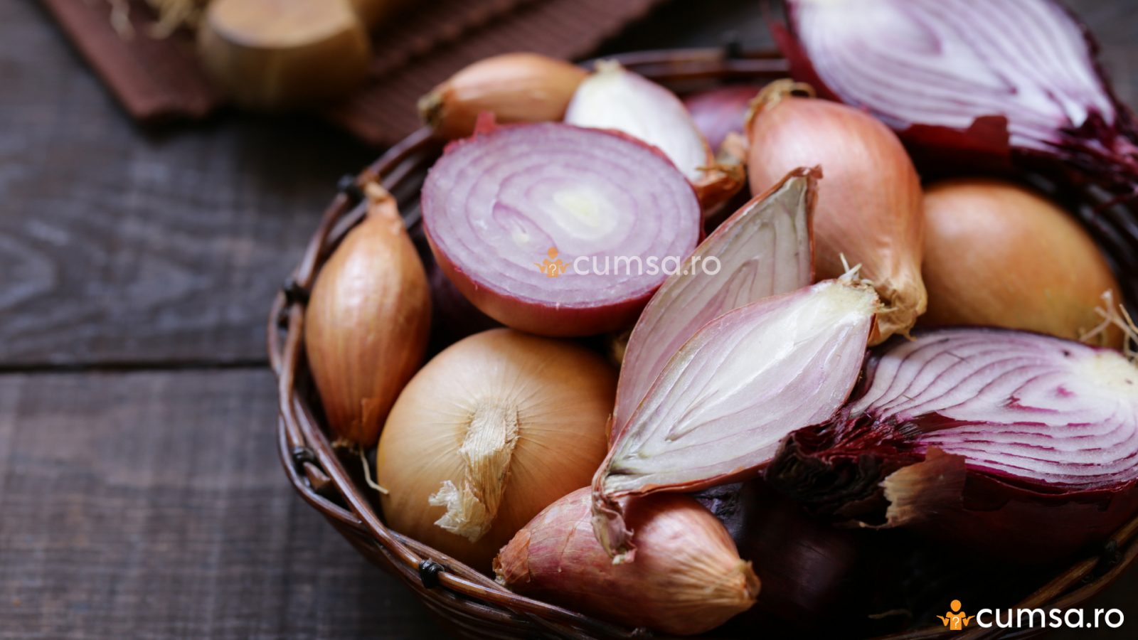 Cum sa scapi de soareci si sobolani. 10 modalitati eficiente - cumsa.ro