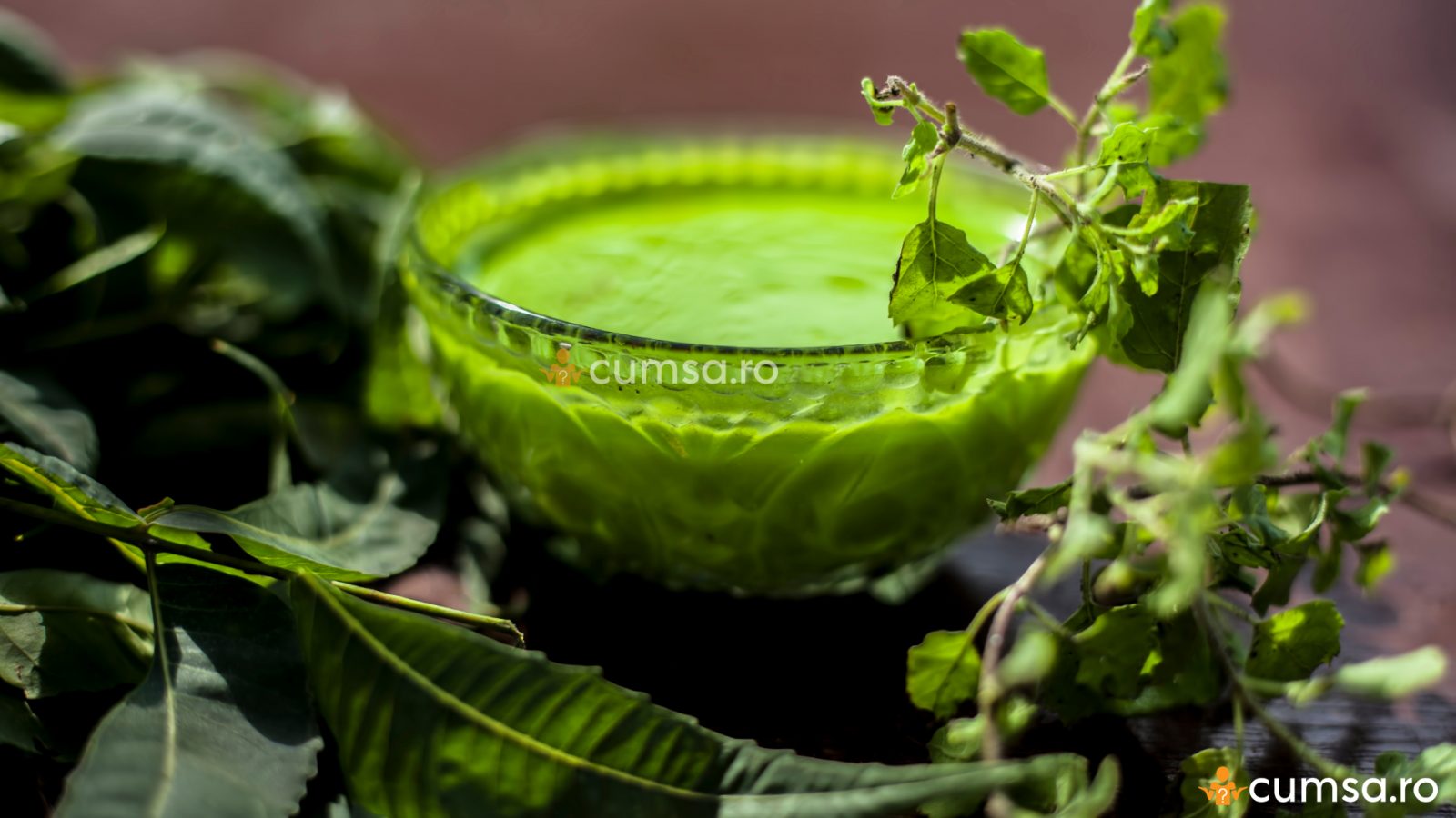 Cum sa scapi de matreata intr-un mod rapid si eficient - cumsa.ro