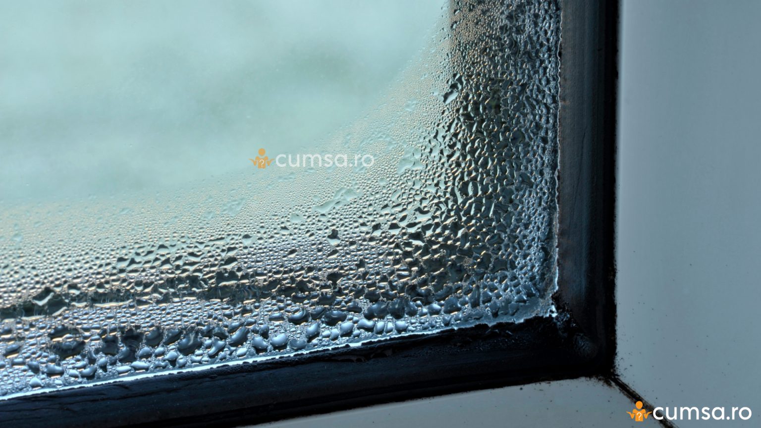 Cum sa obtii un nivel optim de umiditate in casa, in functie de ...