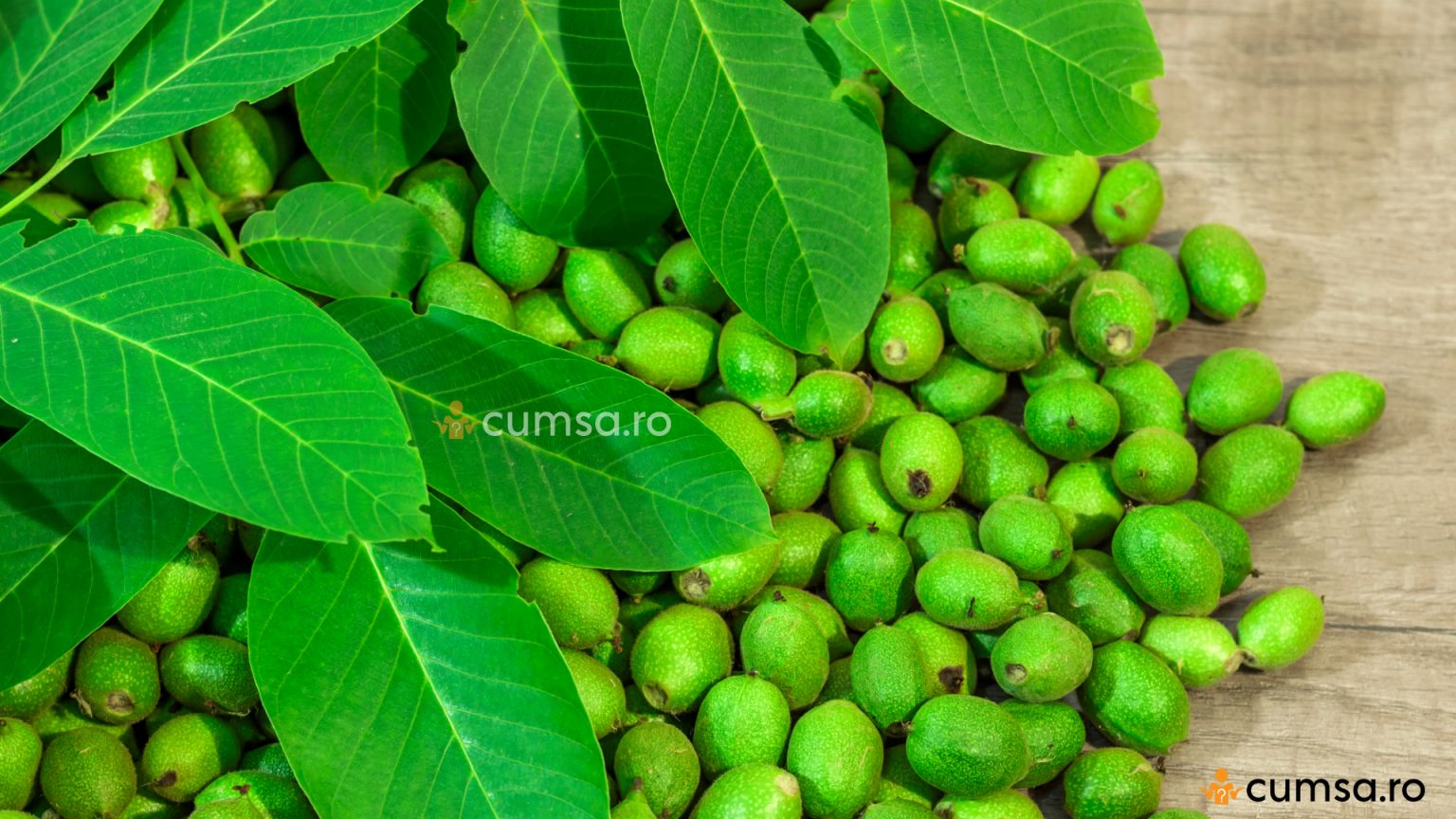 Cum sa scapi de paduchi cu tratamente 100% naturale - cumsa.ro