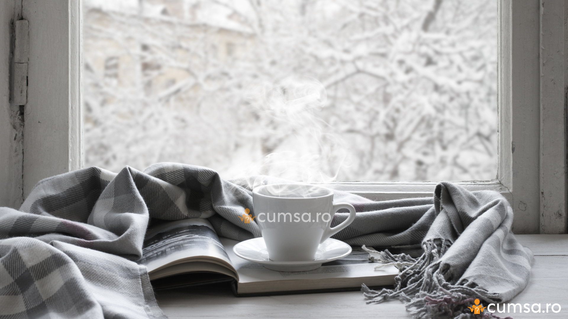 Cum sa mentii umiditatea optima in casa pe timp de iarna - cumsa.ro