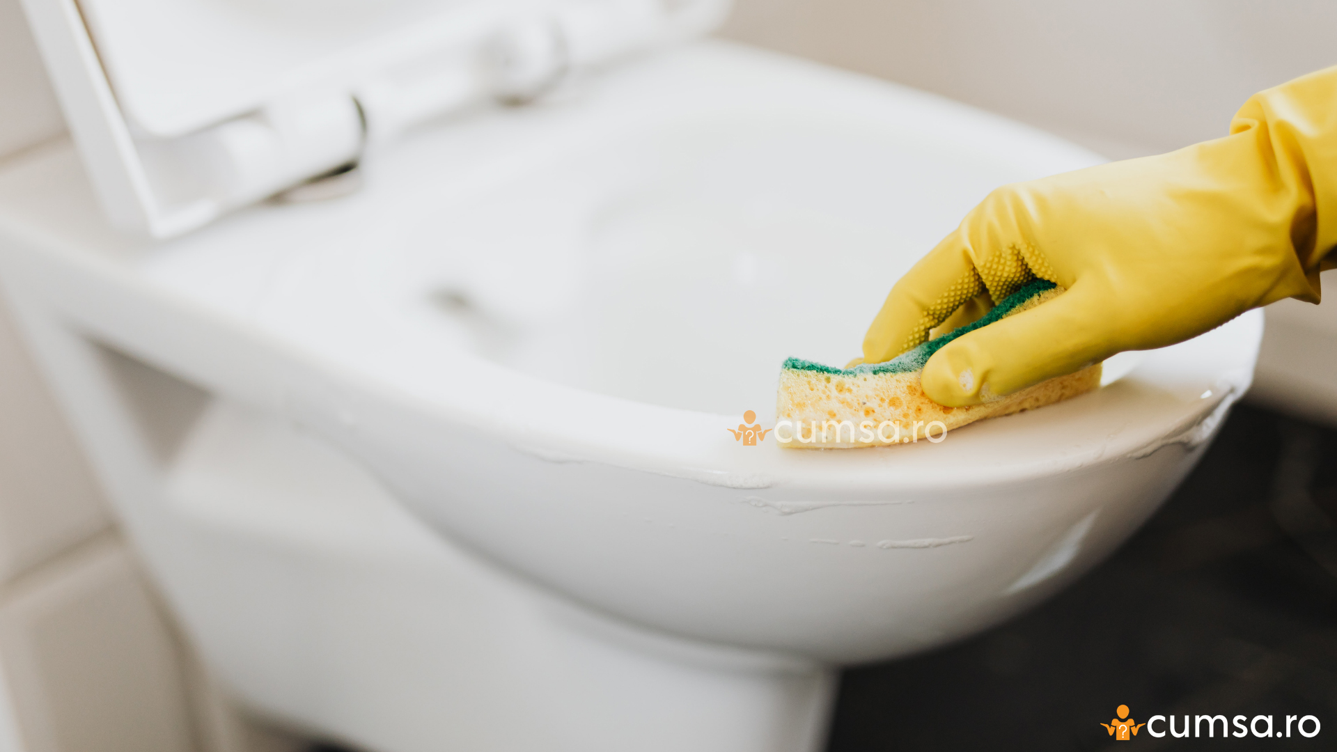 Solutie curatare WC. Cum sa faci o solutie 100% naturala - cumsa.ro