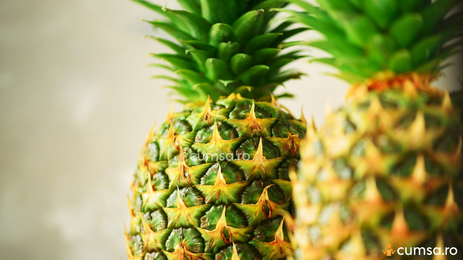 Cum sa plantezi ananas chiar la tine acasa - cumsa.ro