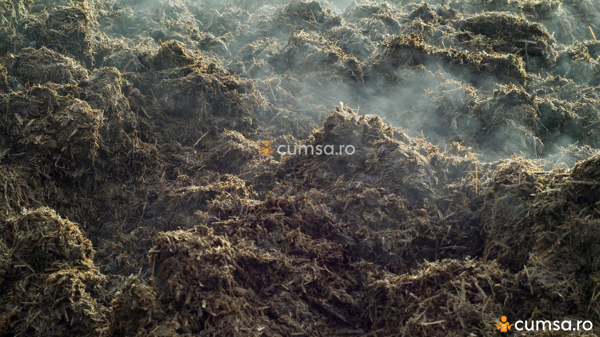 Ingrasamant organic din balegar. Cum sa il folosesti in mod corect, in ...