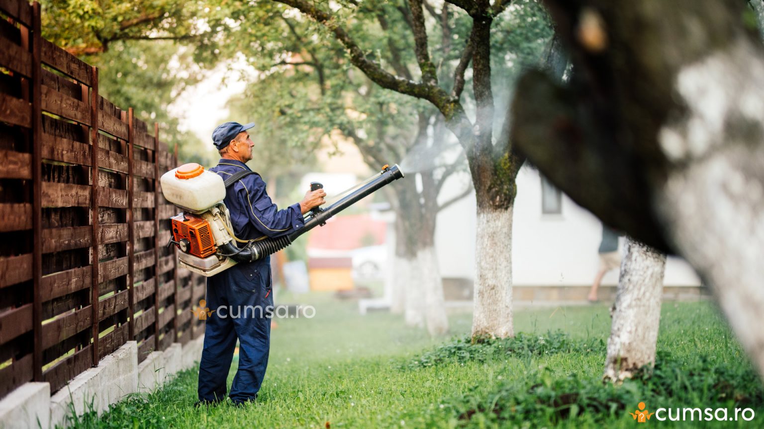 Calendar stropiri pomi fructiferi. Cum sa faci tratamentele in mod ...