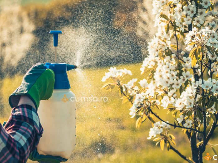 Cuie ruginite batute in pomi fructiferi. Cum sa ii ajuti sa rodeasca ...