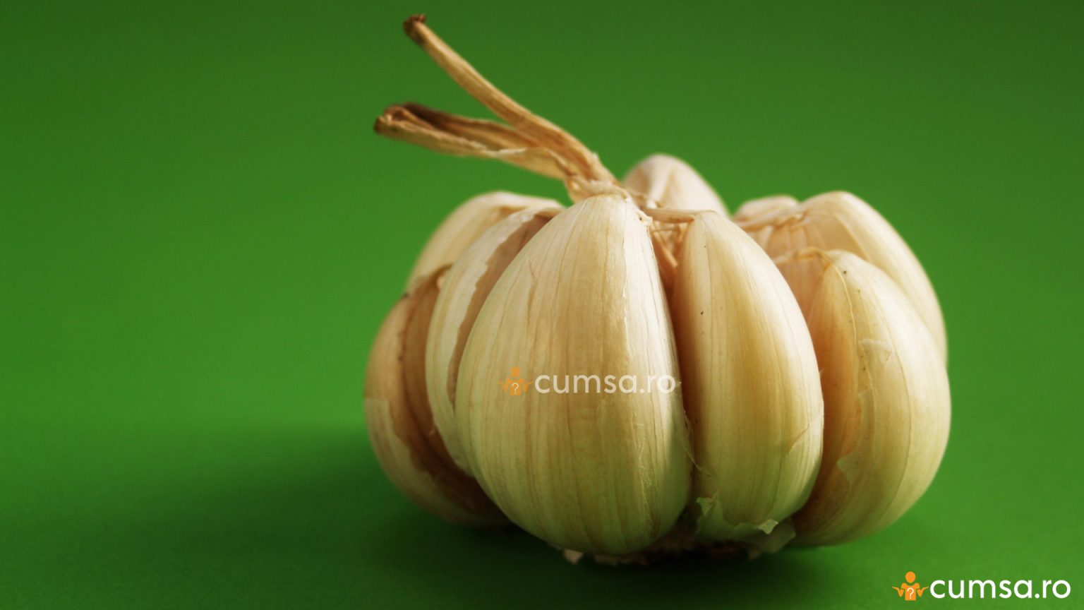Tratamente bio la legume. Cum sa prepari insecticide naturale pentru ...