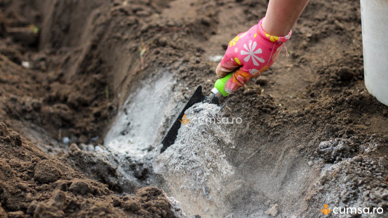 Cum sa folosesti cenusa ca ingrasamant in gradina. Care sunt ...