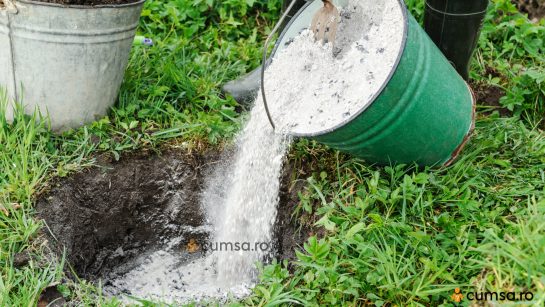 Cum sa folosesti cenusa ca ingrasamant in gradina. Care sunt ...