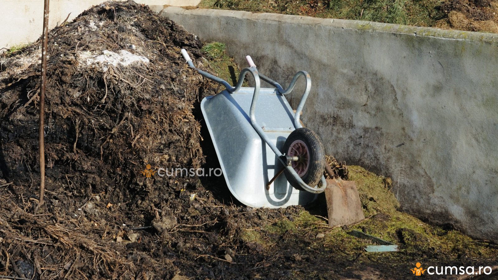 Cum sa faci mranita si sa folosesti acest ingrasamant in gradina ta ...