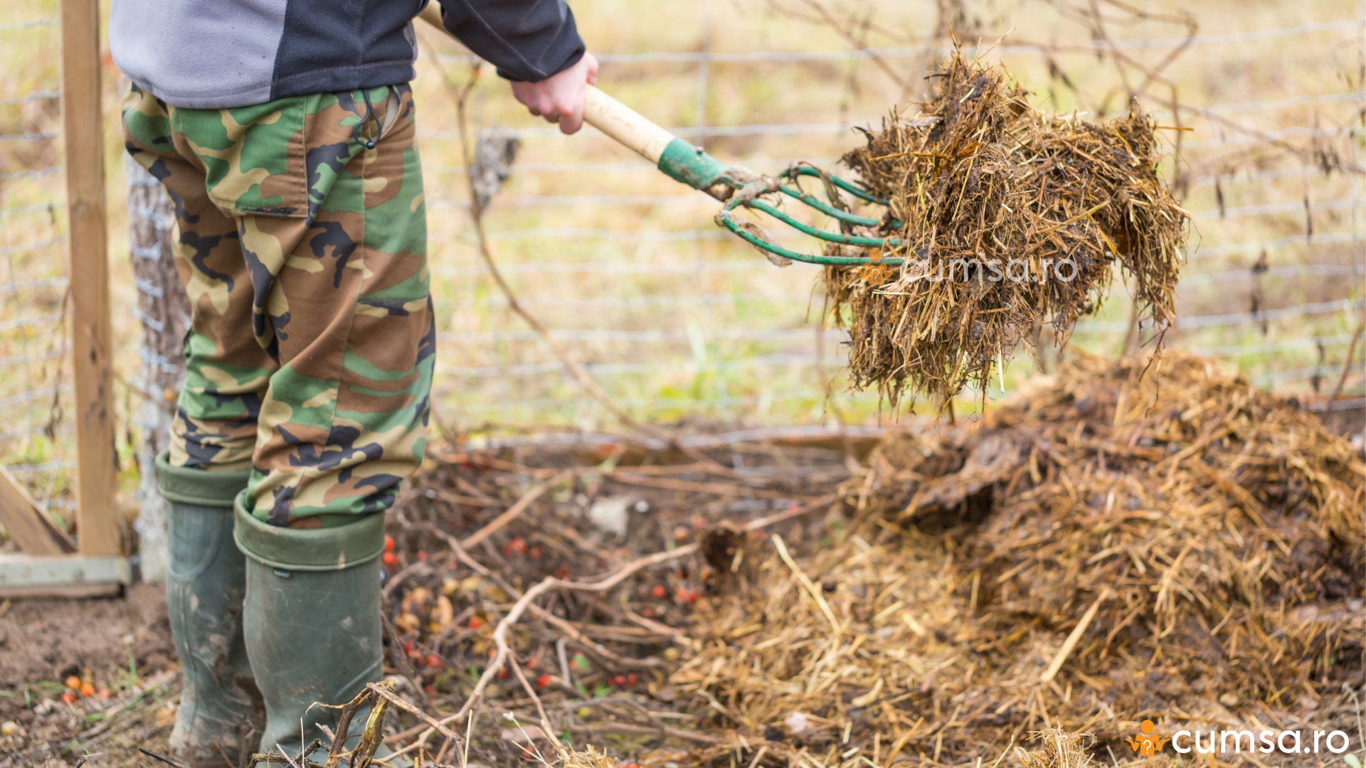 Ingrasamant organic din balegar. Cum sa il folosesti in mod corect, in ...