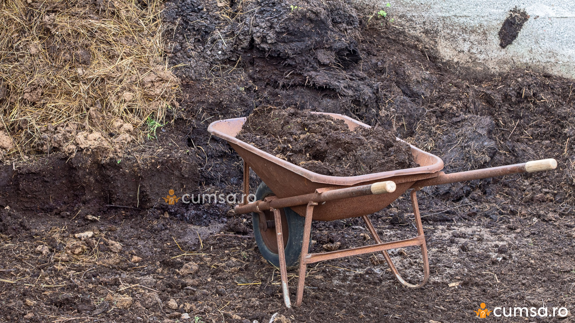 Cum sa faci mranita si sa folosesti acest ingrasamant in gradina ta ...