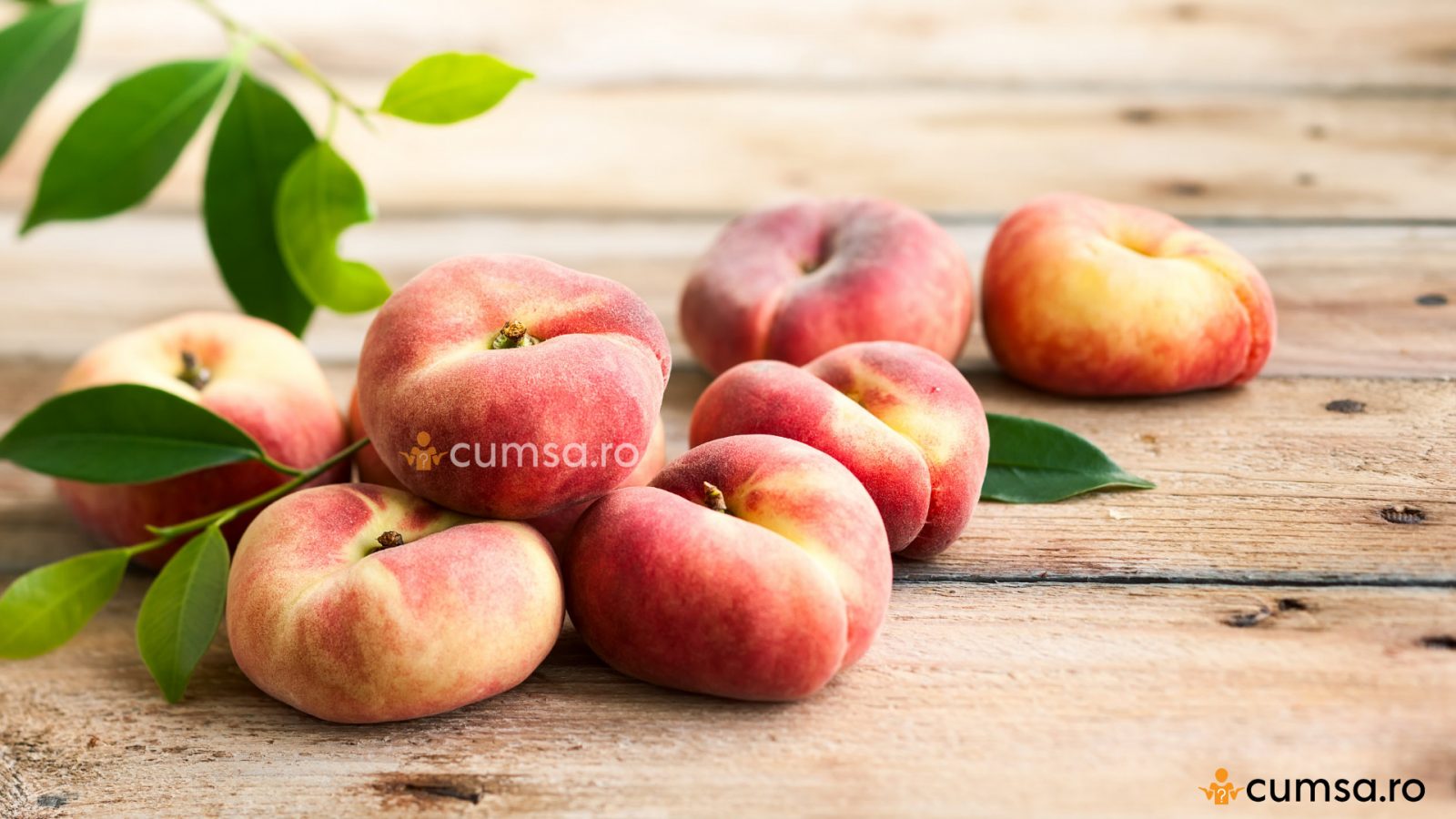 Cultivare fructe, legume sau pomi fructiferi pe suprafete mici. Cum sa ...