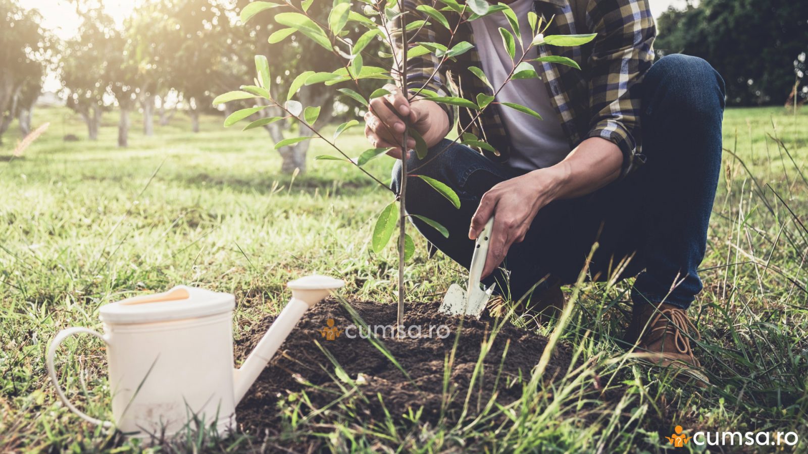 Cum sa plantezi pomi fructiferi. Metode ca acestia sa se prinda! - cumsa.ro