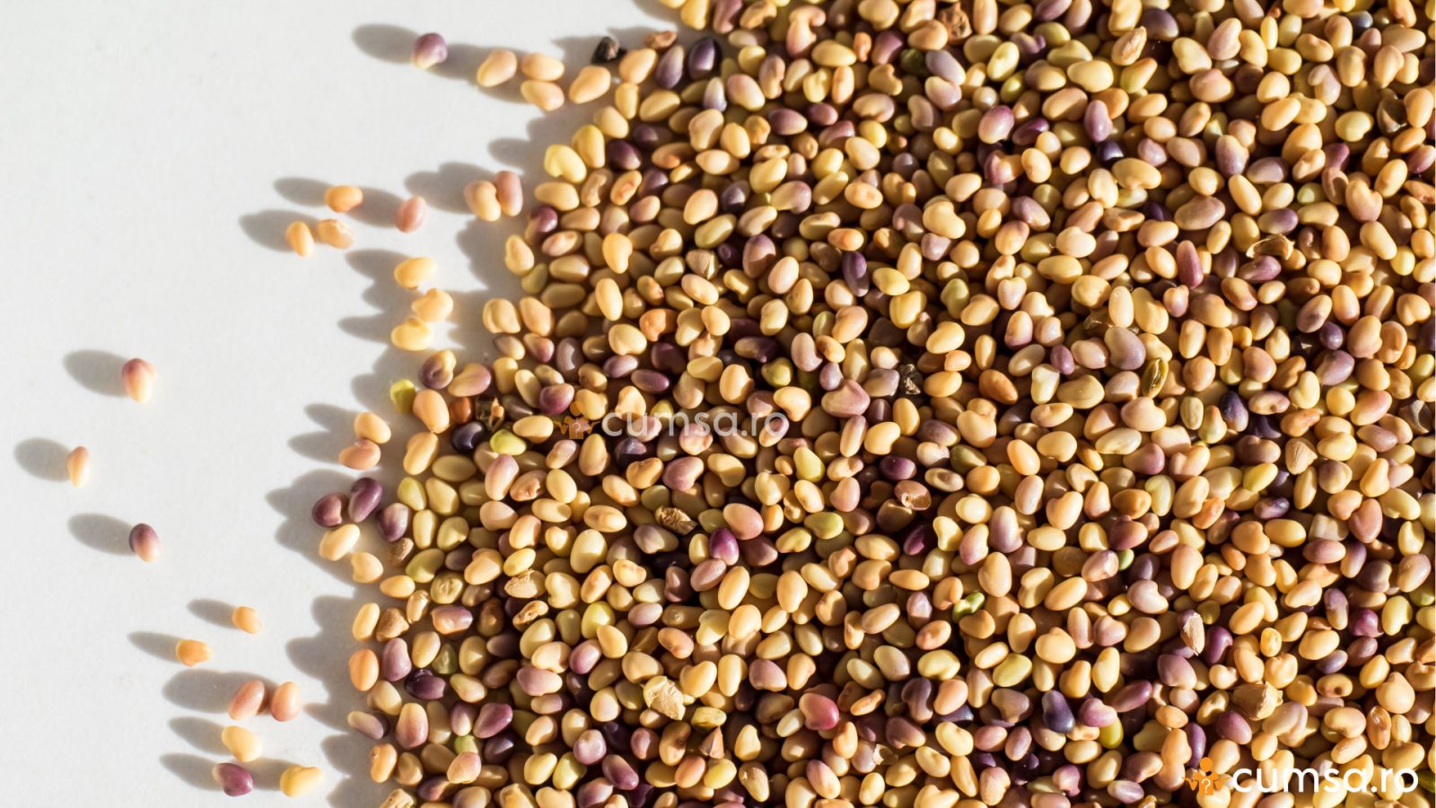 Cum sa cultivi creson chiar in gradina ta - cumsa.ro