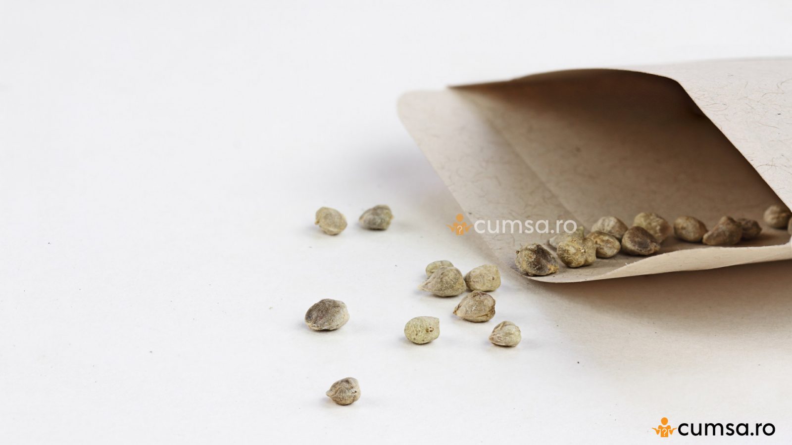 Germinatia semintelor de legume. Cum sa le testezi inainte de plantare ...