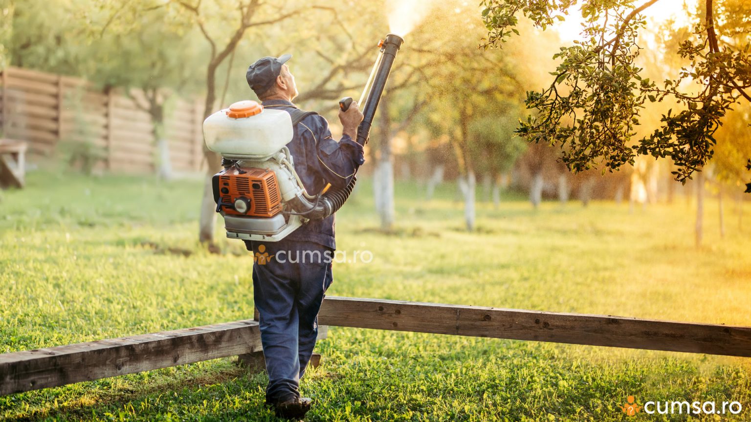 Calendar stropiri pomi fructiferi. Cum sa faci tratamentele in mod ...