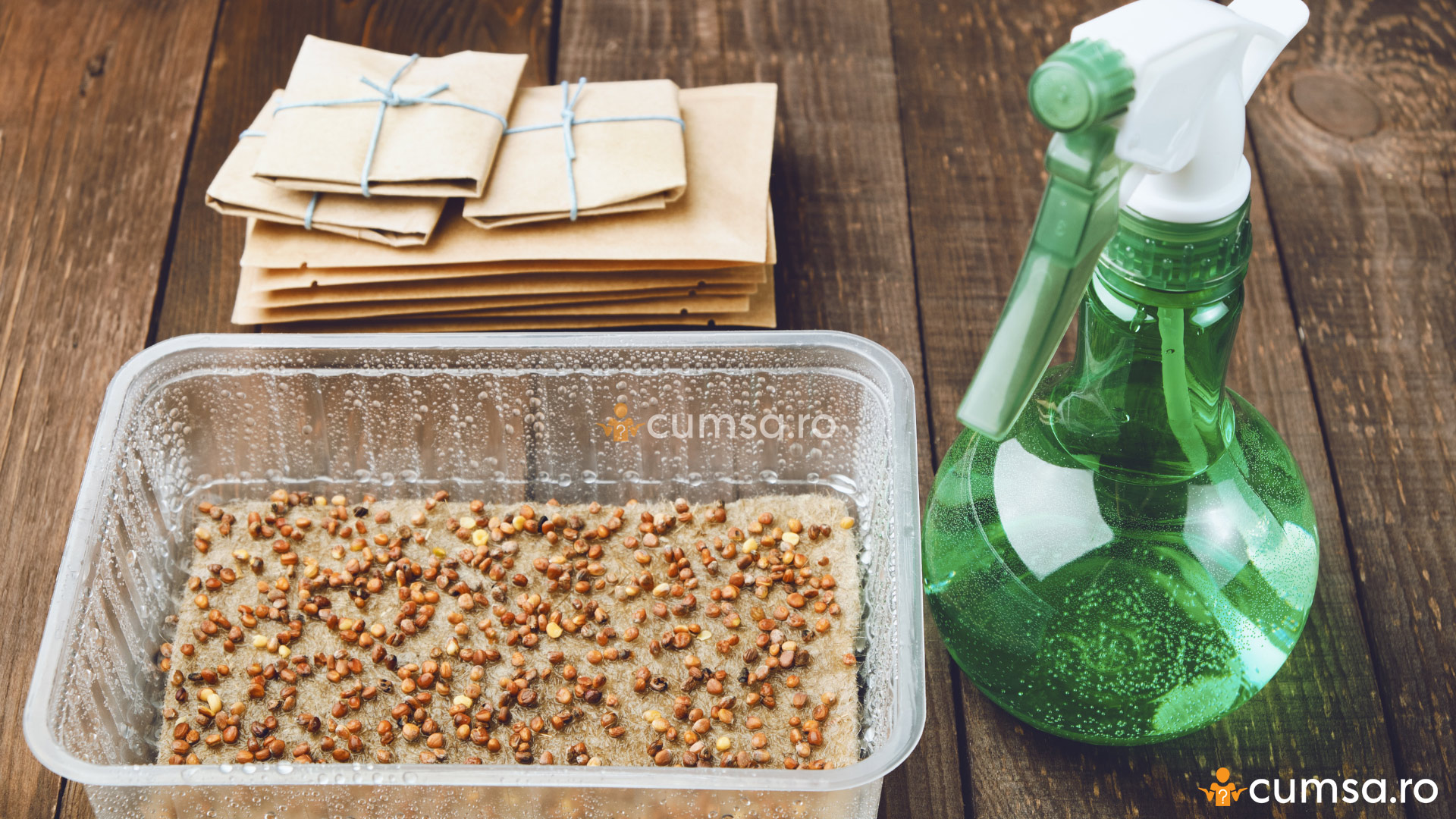 Germinatia semintelor de legume. Cum sa le testezi inainte de plantare ...