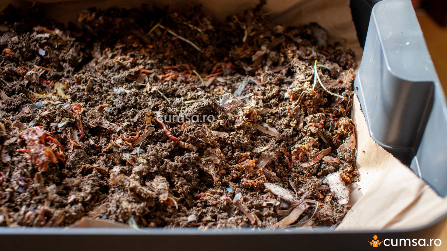 Cum sa faci vermicompost. Ingrasamant natural cu ajutorul ramelor ...
