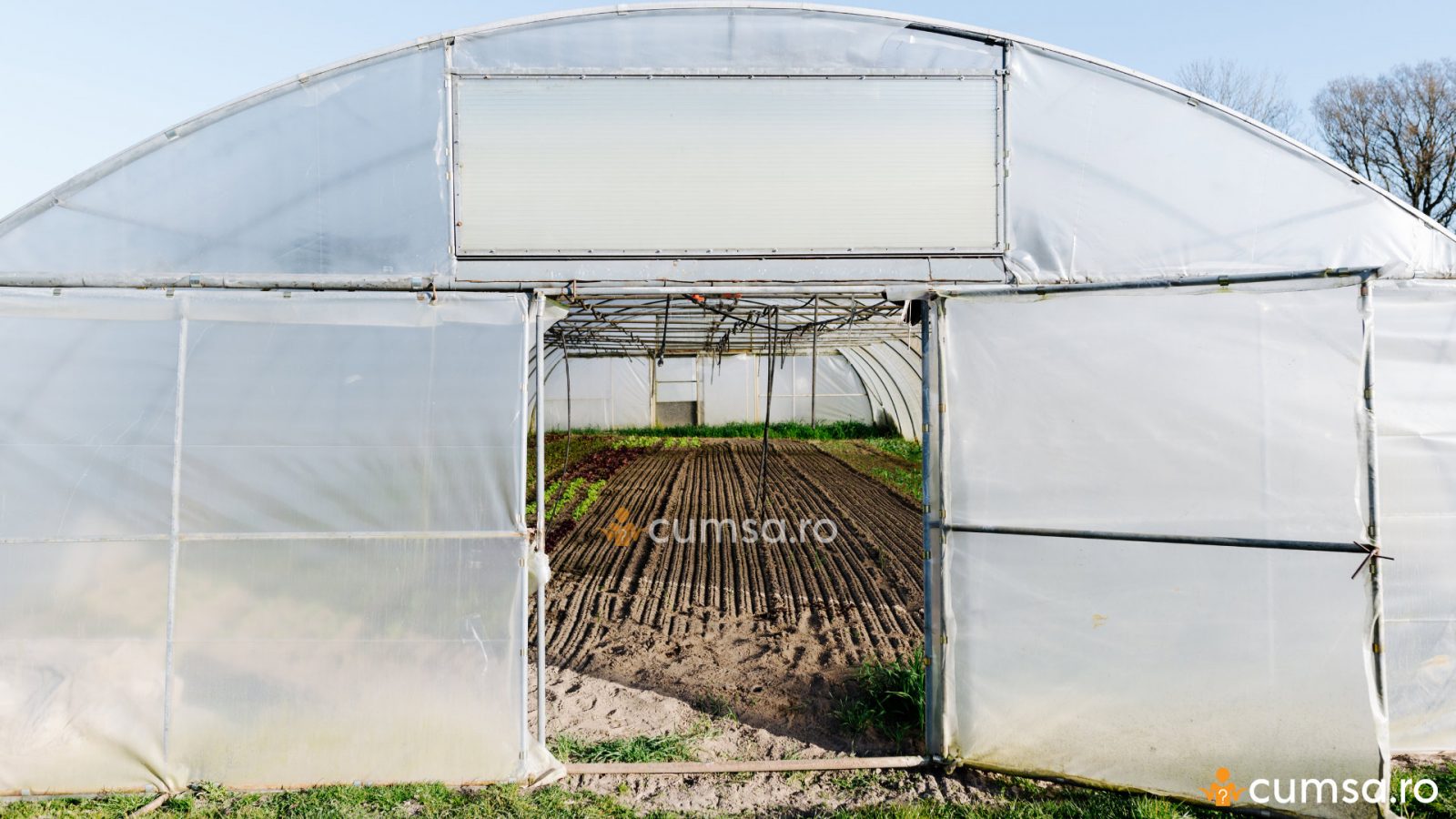 Aerisire solar. Cum sa o faci in mod corect pentru a nu afecta plantele ...