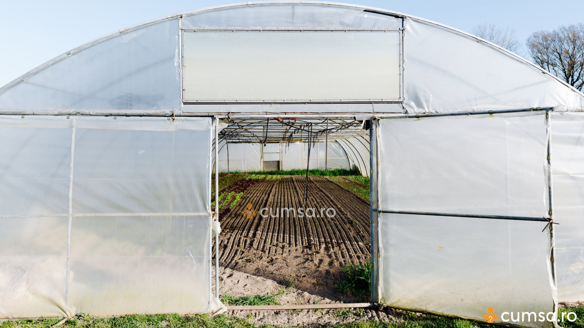 Aerisire solar. Cum sa o faci in mod corect pentru a nu afecta plantele ...