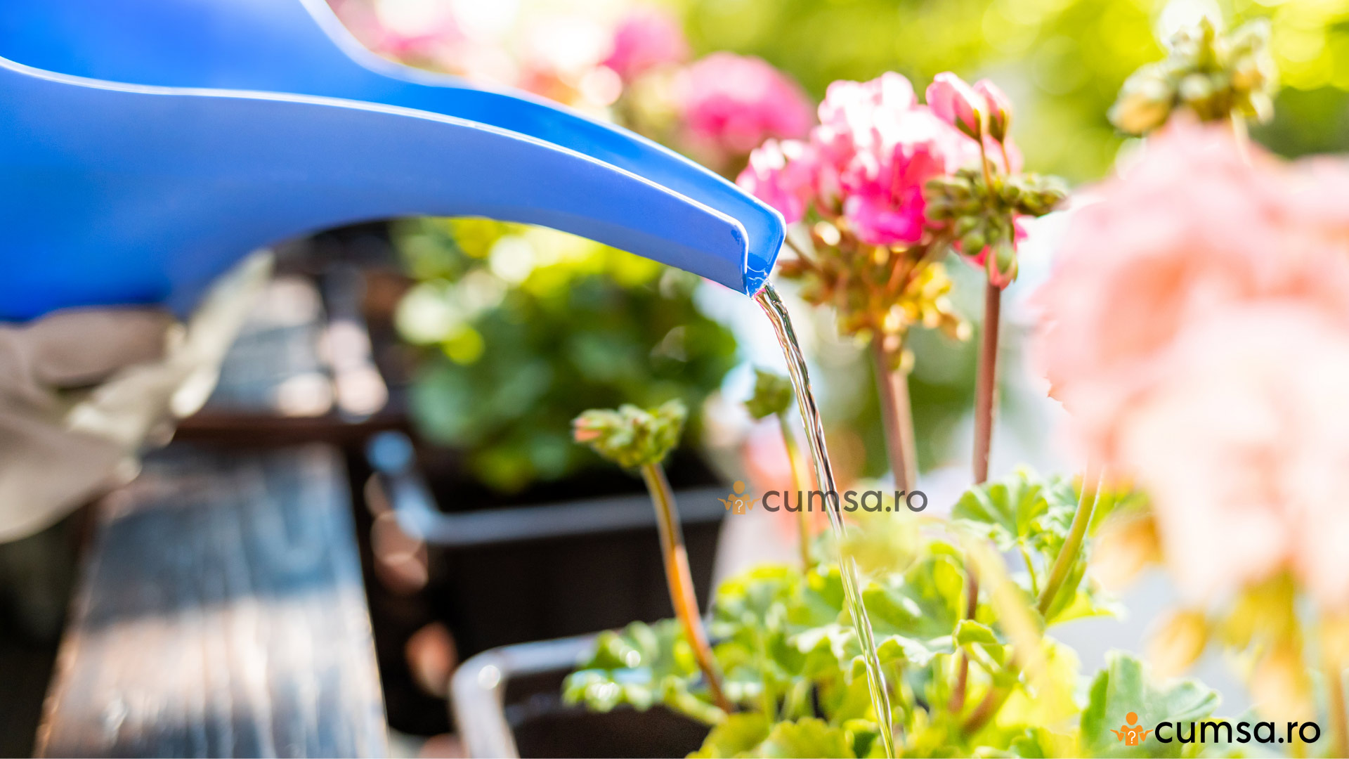 Cum sa folosesti apa distilata pentru flori - cumsa.ro