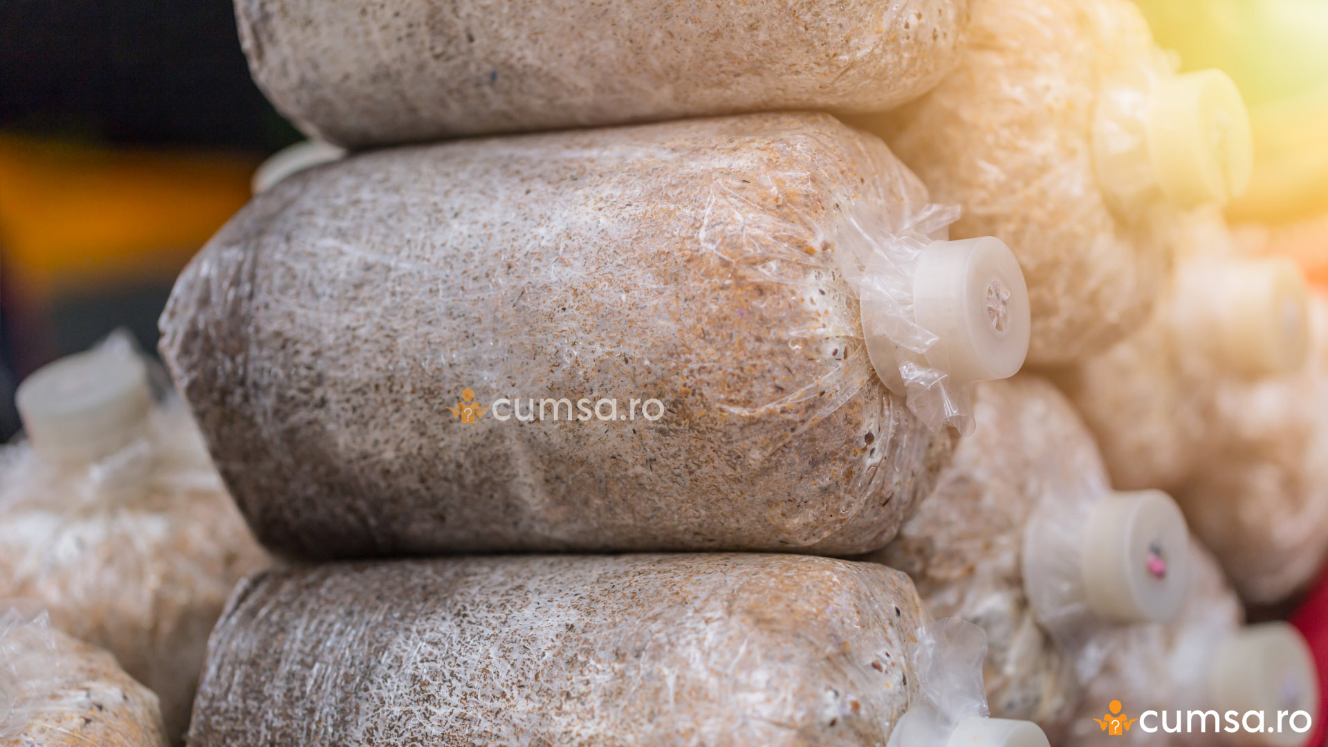 Compost ciuperci. Cum sa folosesti acest ingrasamant in gradina ta ...