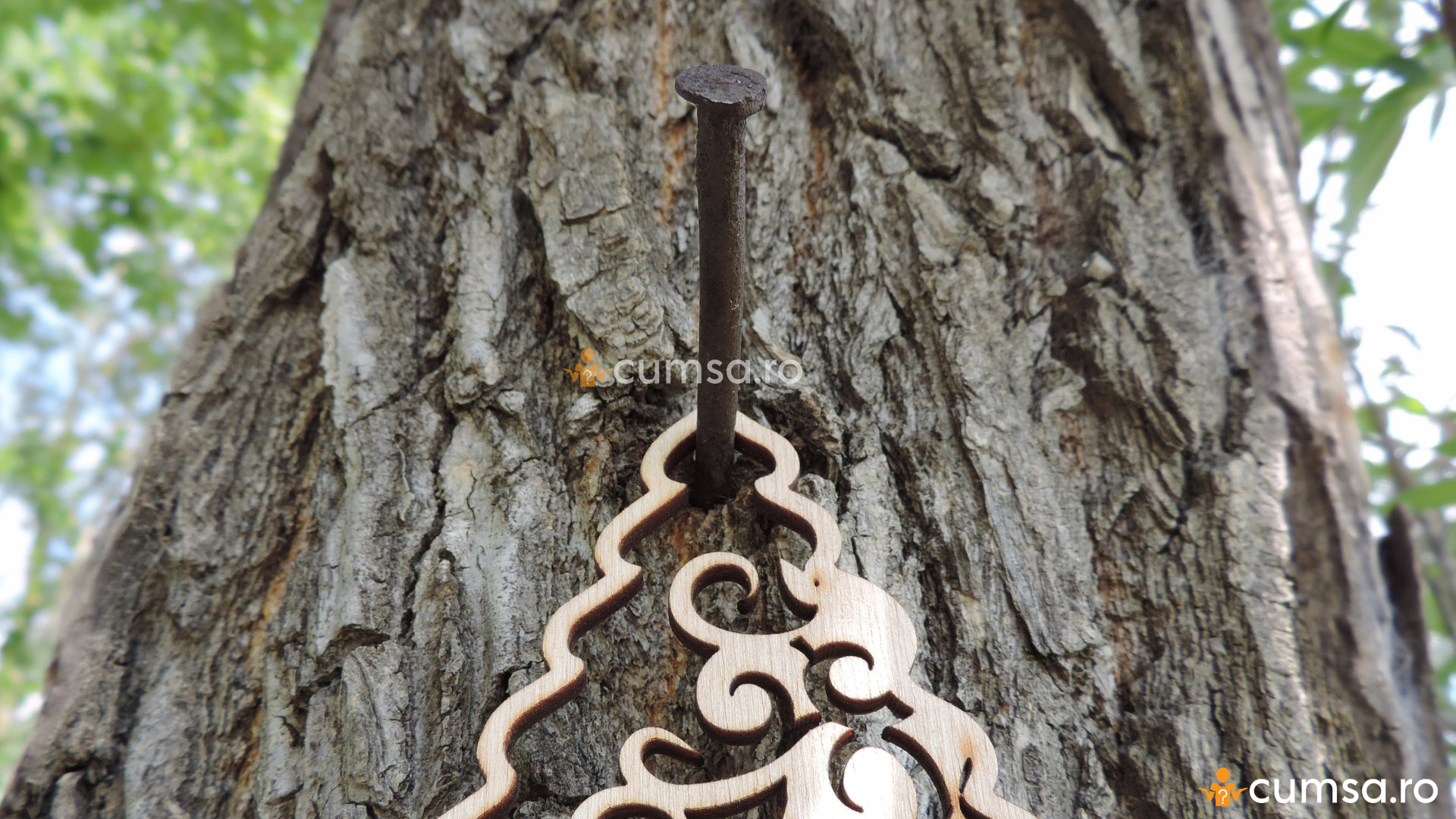 Cuie ruginite batute in pomi fructiferi. Cum sa ii ajuti sa rodeasca ...