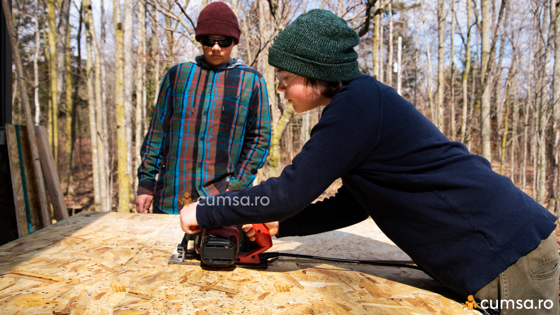 Cum sa faci un cotet pentru gaini. Ce trebuie sa ai in vedere - cumsa.ro