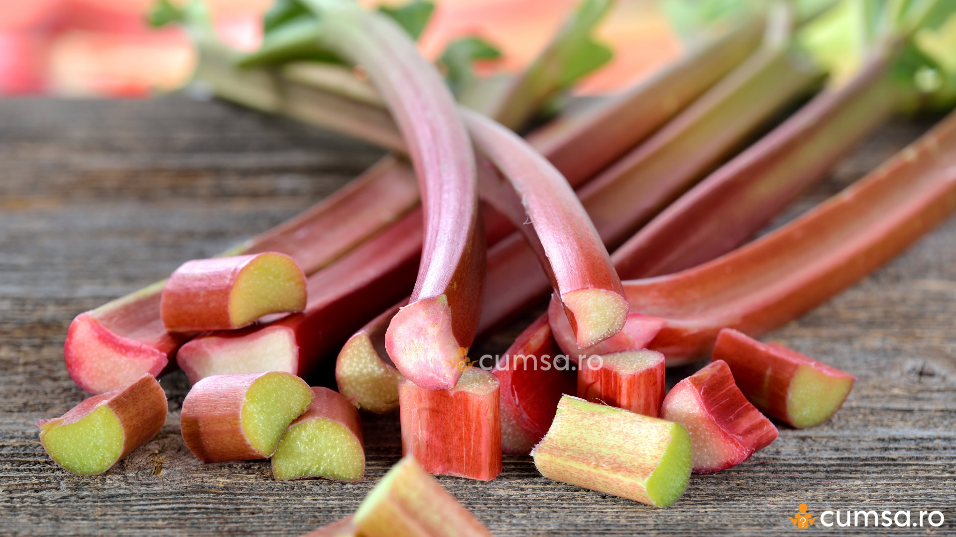 Cultivare rubarba. Cum sa cresti aceasta planta - cumsa.ro