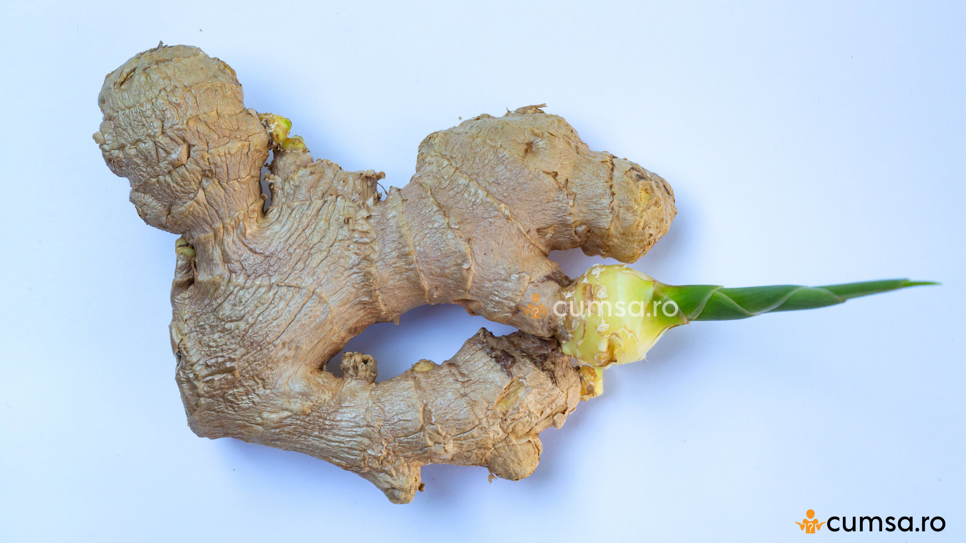 Cum sa plantezi ghimbir chiar la tine in gradina - cumsa.ro