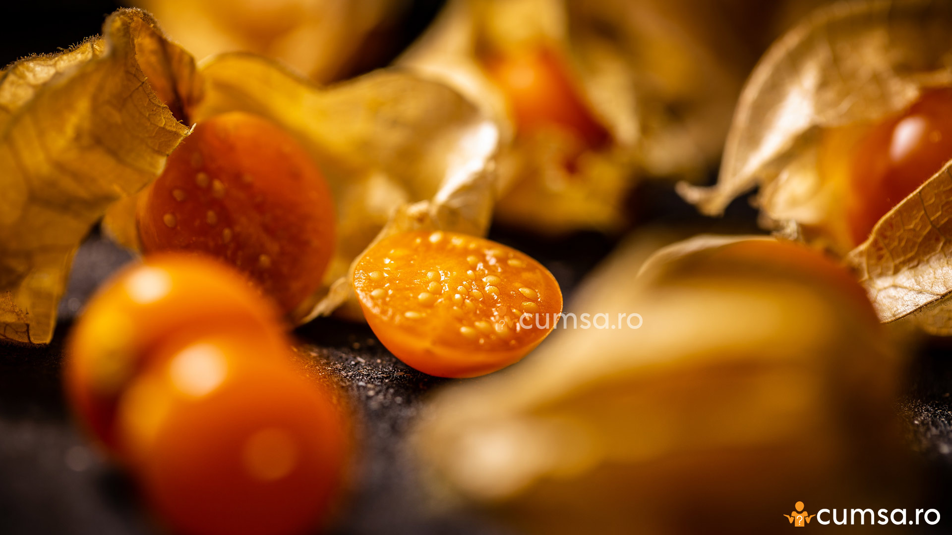 Papalau. Cum sa cultivi si sa ingrijesti Physalis peruviana - cumsa.ro