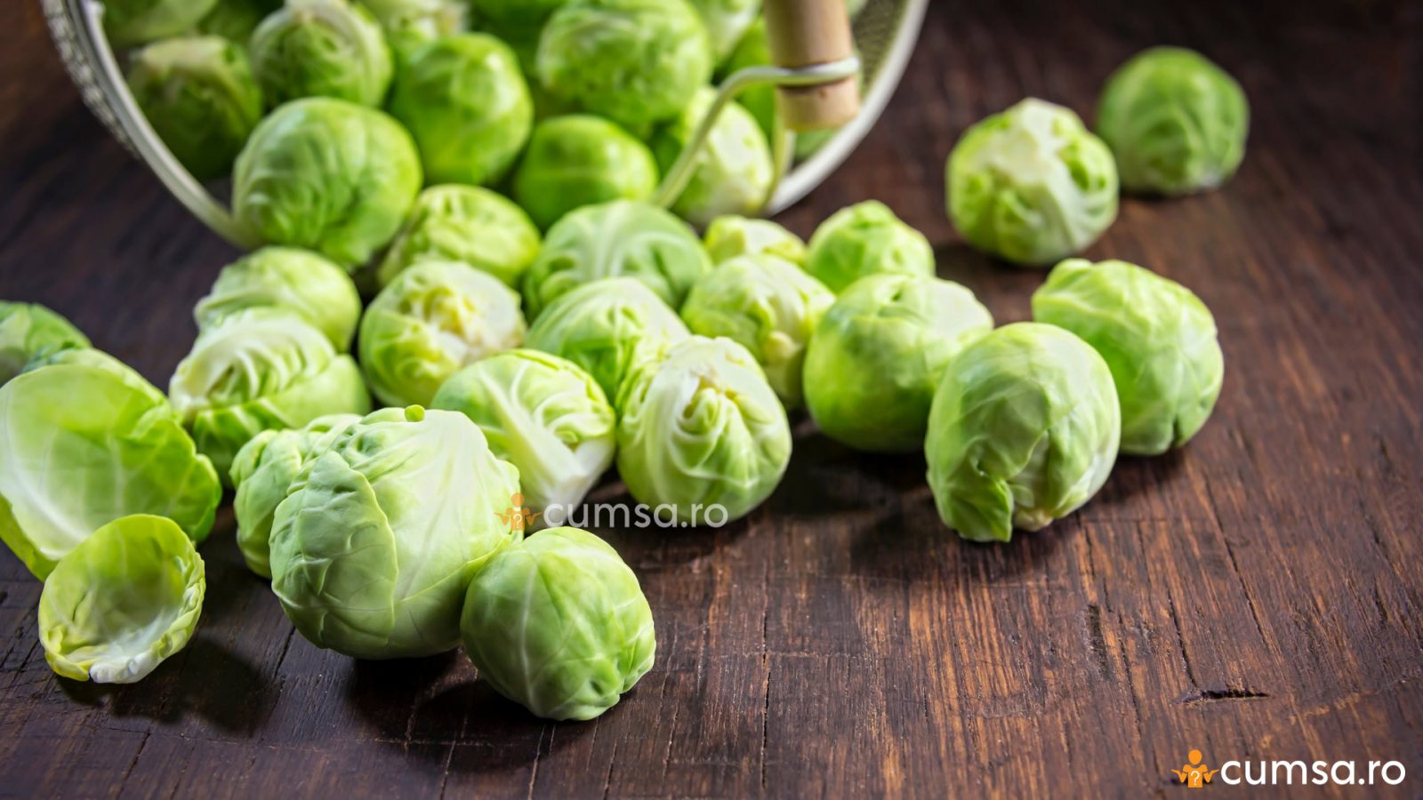 Cum sa cultivi si sa ingrijesti varza de Bruxelles - cumsa.ro
