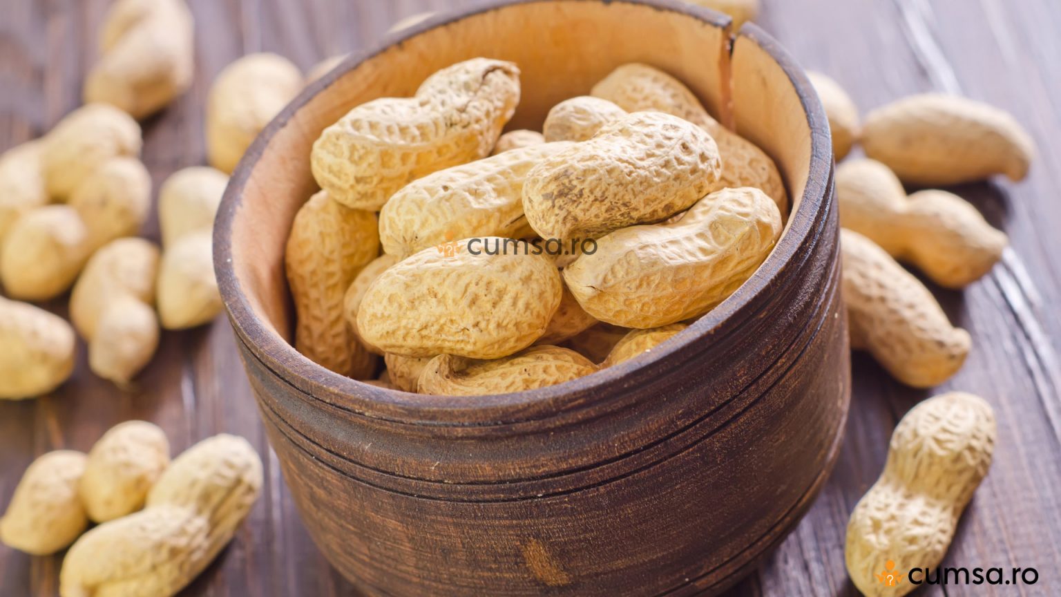 Cultivare arahide. Cum sa cultivi alune de pamant in gradina - cumsa.ro