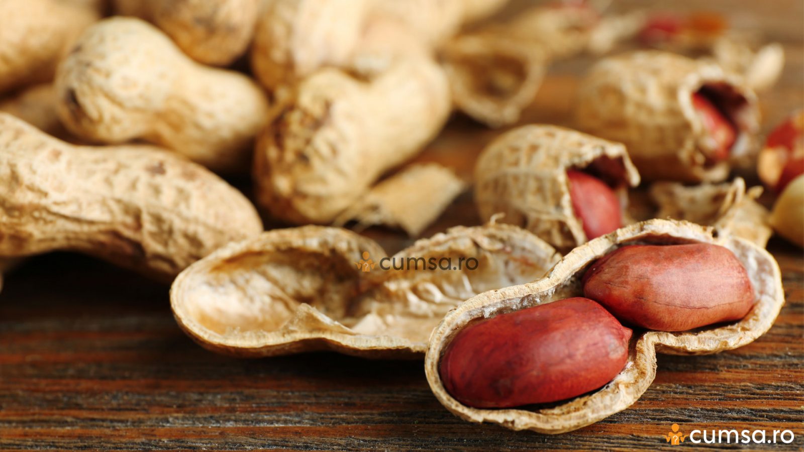 Cultivare arahide. Cum sa cultivi alune de pamant in gradina - cumsa.ro