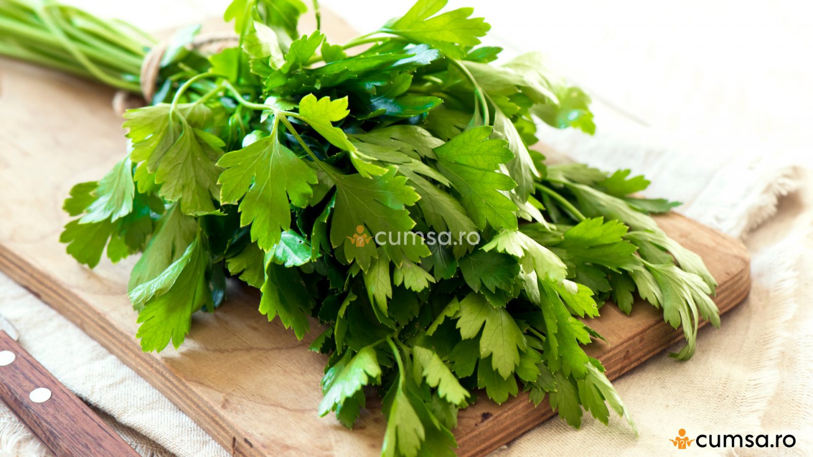 Cultivare patrunjel (Petroselinum crispum). Cum sa ai si tu aceasta ...