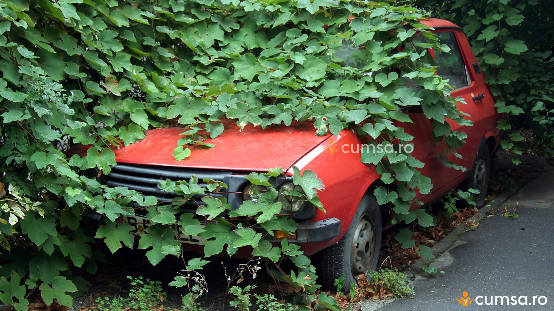 Cum sa faci o radiere auto in 2025 si ce acte sunt necesare - cumsa.ro