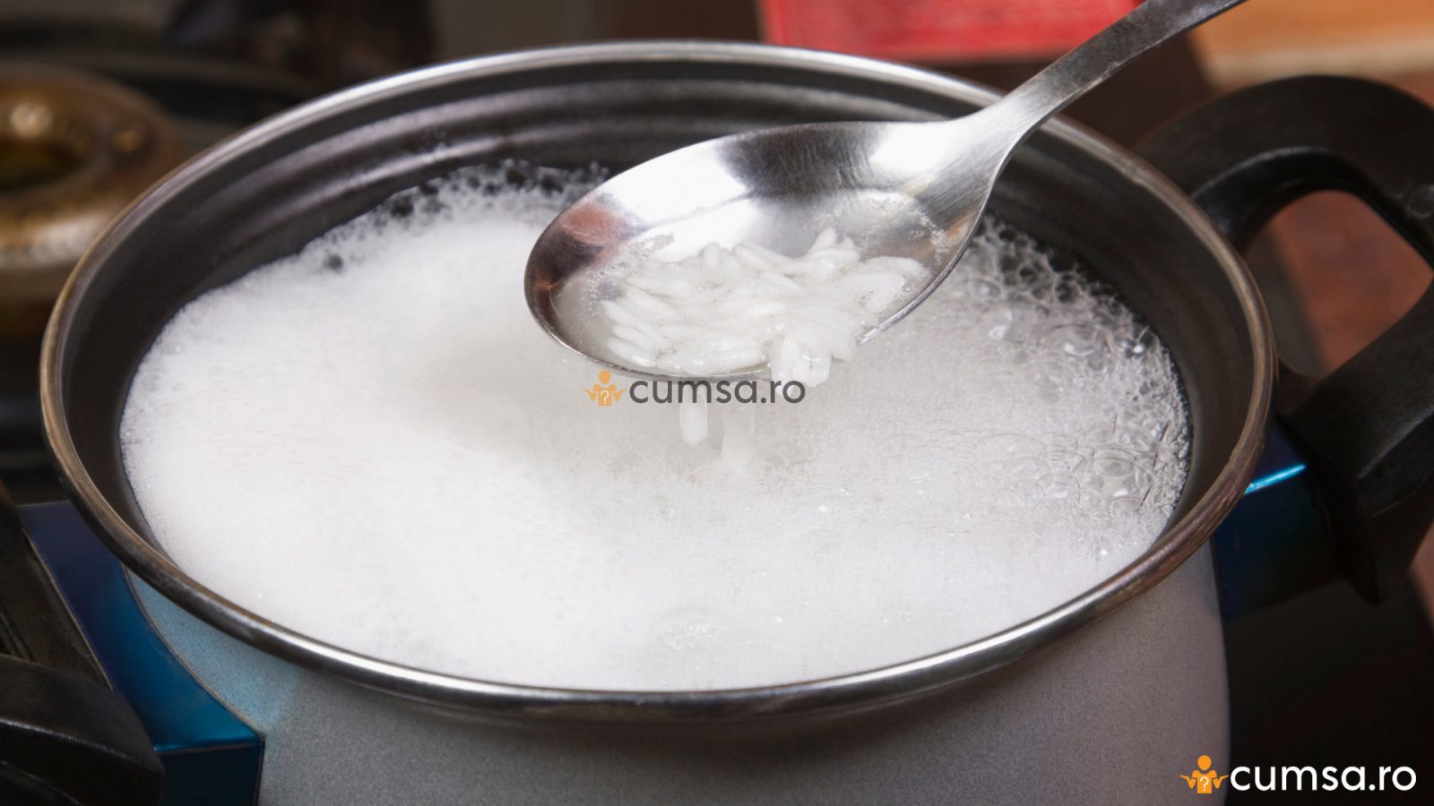 Ingrasamant natural pentru orhidee. Cum sa il prepari si ce sa ...