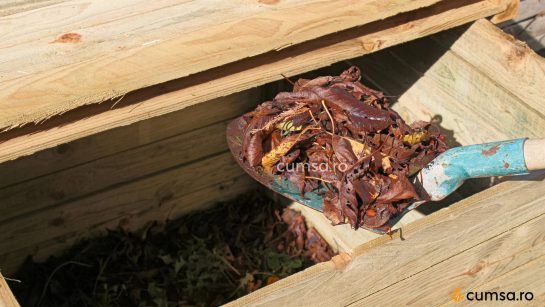 Cum sa faci compost din frunze uscate, un ingrasamant 100% ecologic ...
