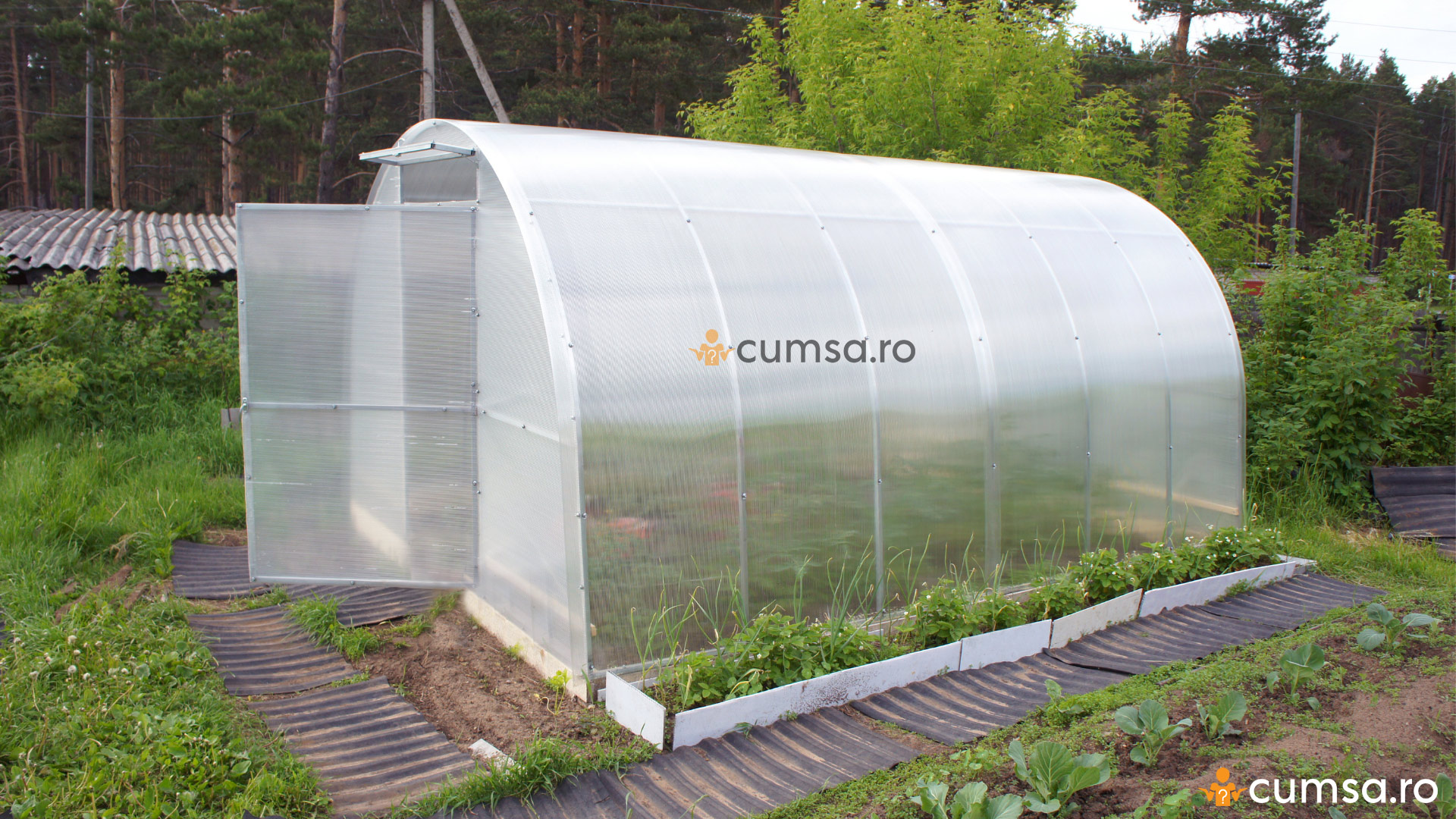 Cum sa construiesti un solar pentru legume, in mod corect. Greseli pe ...