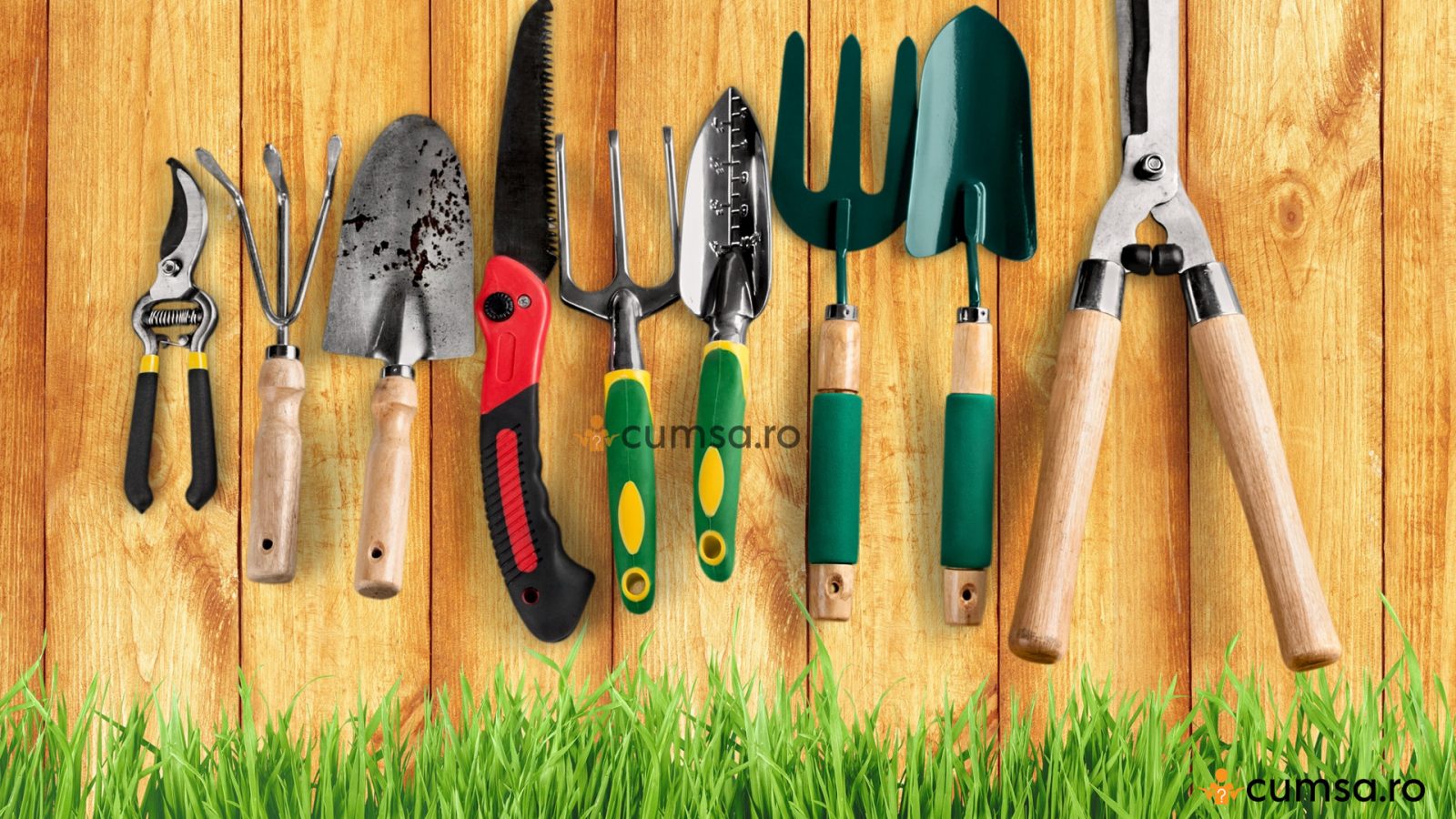 Cum sa dezinfectezi uneltele de gradinarit, cu lapte - cumsa.ro