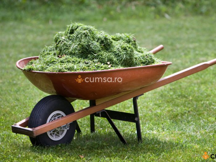Cum sa folosesti iarba taiata. 7 metode utile! - cumsa.ro