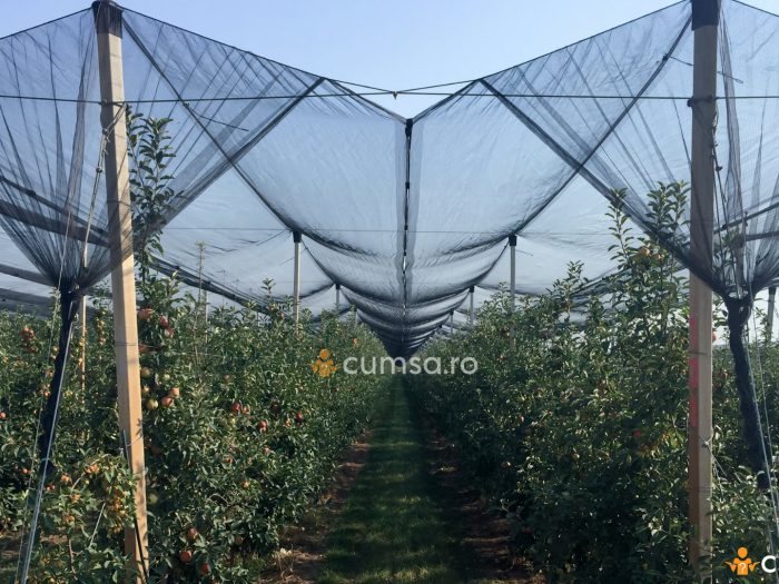 Cum sa folosesti iarba taiata ca ingrasamant natural pentru pomi ...