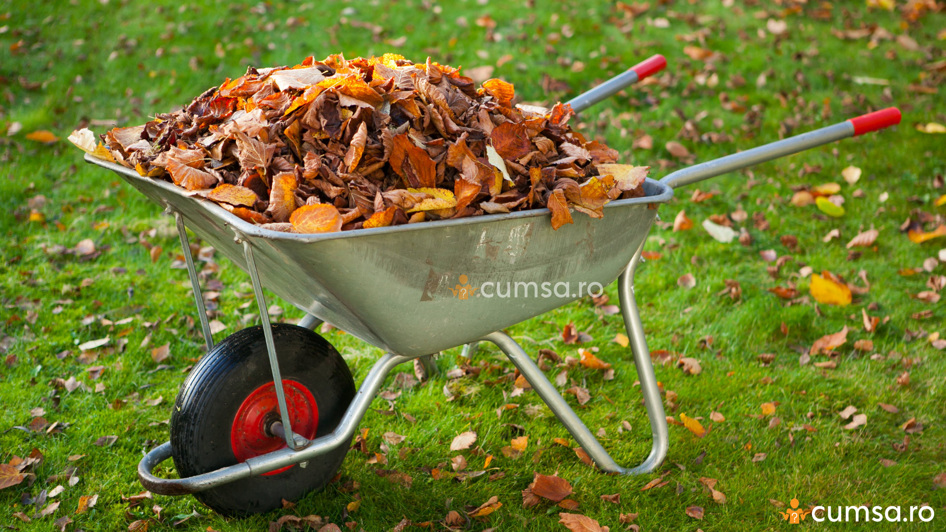 Cum sa faci compost din frunze uscate, un ingrasamant 100% ecologic ...