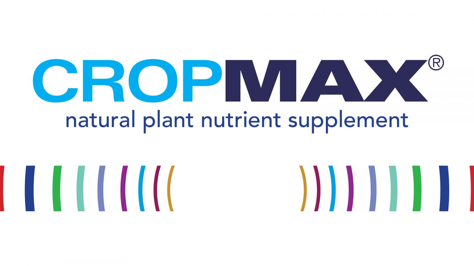 Cropmax la capsuni. Cum si cand sa aplici acest ingrasamant foliar - cumsa.ro
