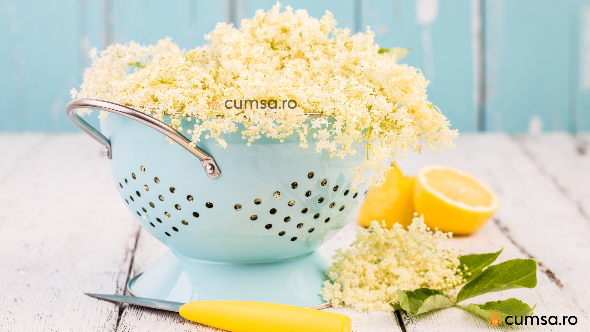 Cum sa faci socata. Cea mai buna reteta! - cumsa.ro